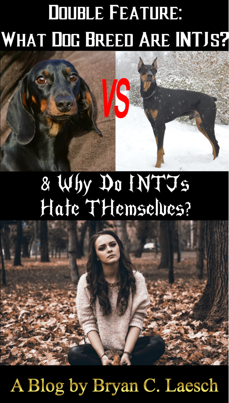 Double Feature: What Dog Breed are INTJs - Bryan C. Laesch