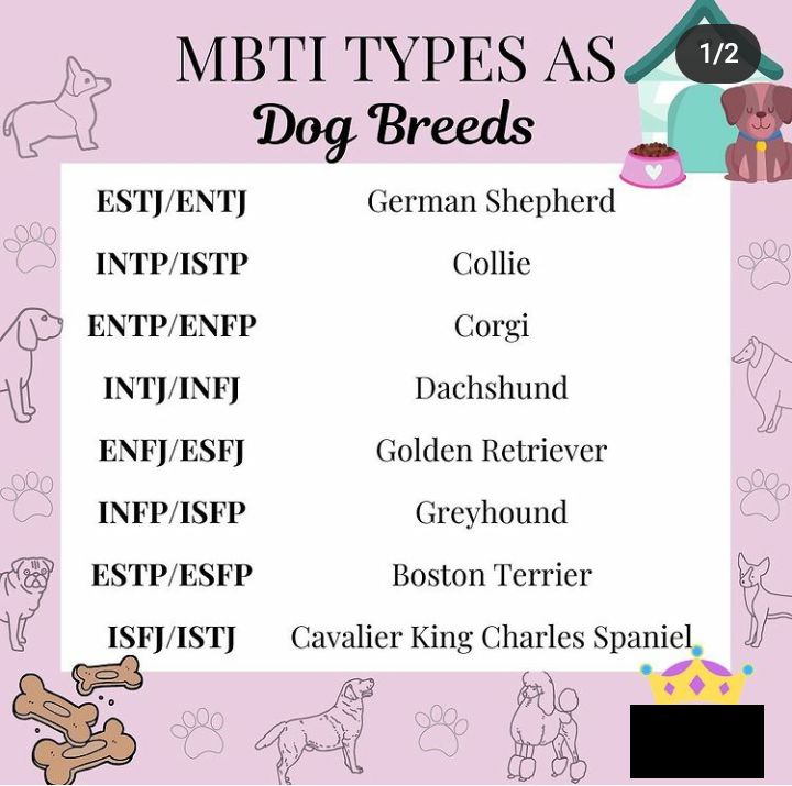 Double Feature: What Dog Breed are INTJs - Bryan C. Laesch