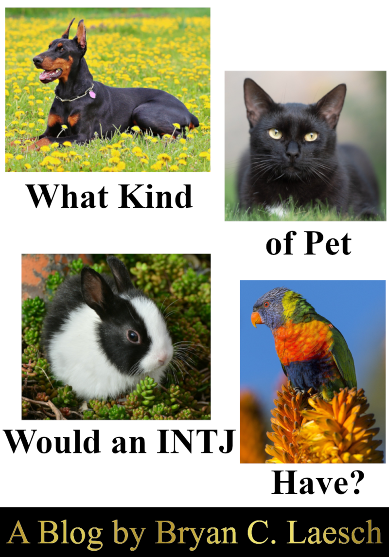 What Kind of Pet Would an INTJ Have? - Bryan C. Laesch